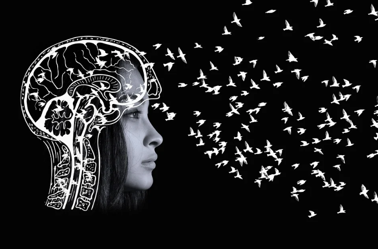 Embodied and Empathetic Minds in “Conference of the Birds” – The ...